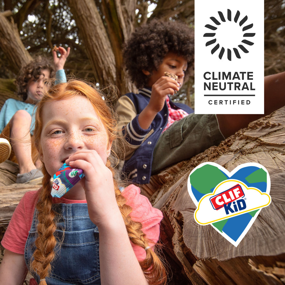 CLIF Kid Zbar® Iced Oatmeal Cookie, 36 Bars – Clif Bar CLIF Kid Zbar® Iced Oatmeal Cookie, 36 Bars – Clif Bar